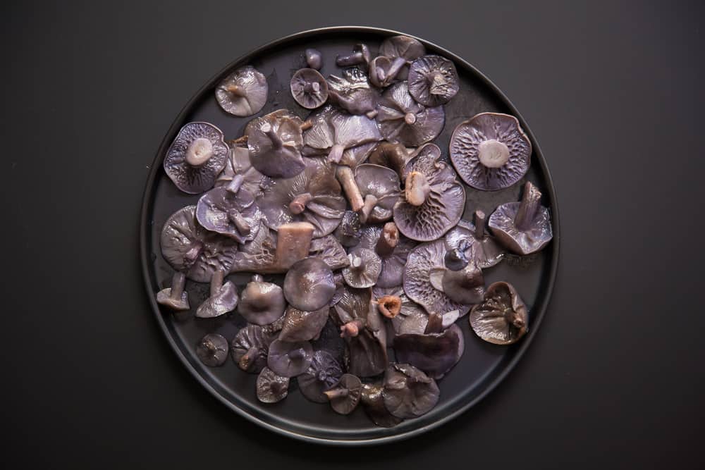 L'année du pied bleu - 180°C La revue culture food