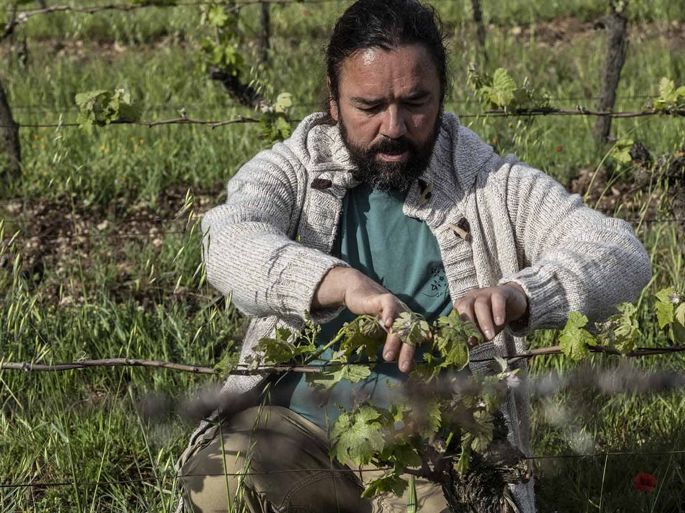 Guilhem Barré, le vigneron des ondes positives à Cabardès